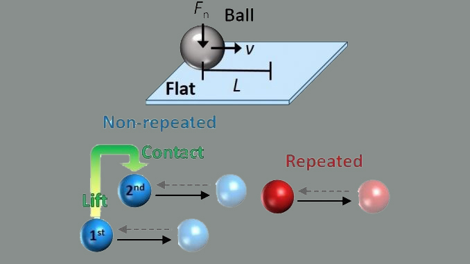 What is the difference between reciprocated and non-reciprocated ...