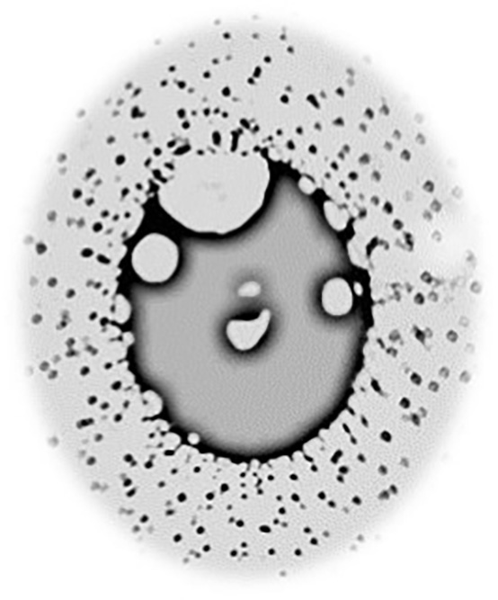 Where did the tin go? Mass loss from a thin sheet of tin - ARCNL