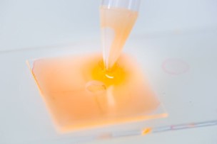 Departure Fred Brouwer: photochemistry research at ARCNL ends - ARCNL